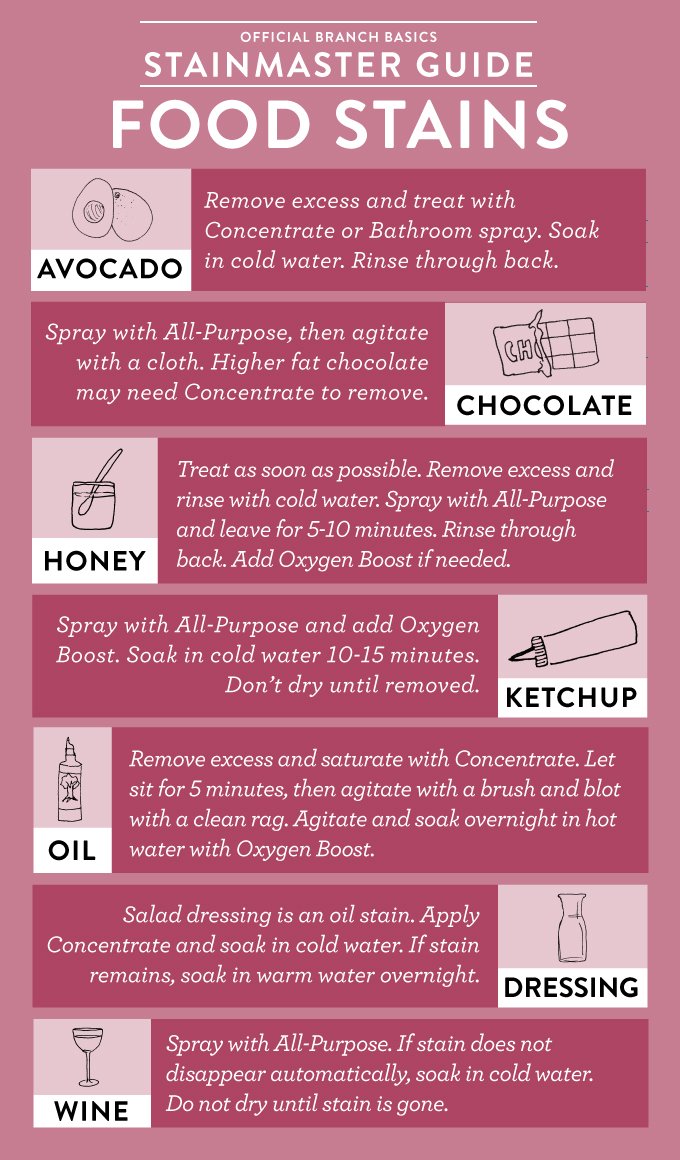 Branch Basics Stainmaster Guide: How to Treat Any Stain Quickly and Ea